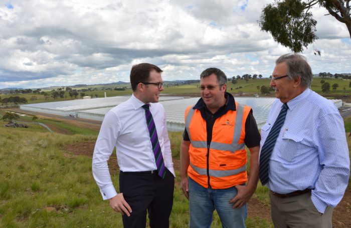 Costa Group Guyra Tomato Farm growth great for the region | Invest Armidale